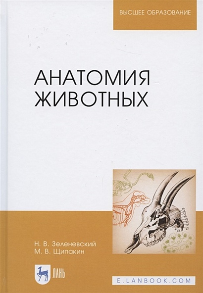 Анатомия животных. Учебник • Зеленевский Н. и др., купить по низкой ...