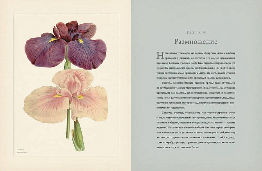 Книга Ботаника для садоводов • Ходж Дж. – купить книгу по низкой цене ...