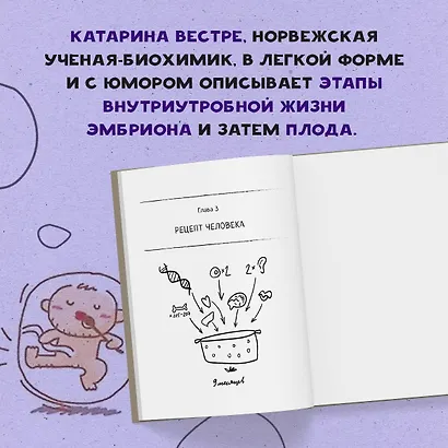 280 дней до вашего рождения. Репортаж о том, что вы забыли, находясь в ...