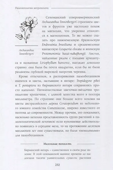 Палеонтология антрополога. Книга 2. Мезозой (Станислав Дробышевский ...