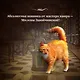 Университет Специальных Чар. Пощады, маэстрина! (Милена Завойчинская ...